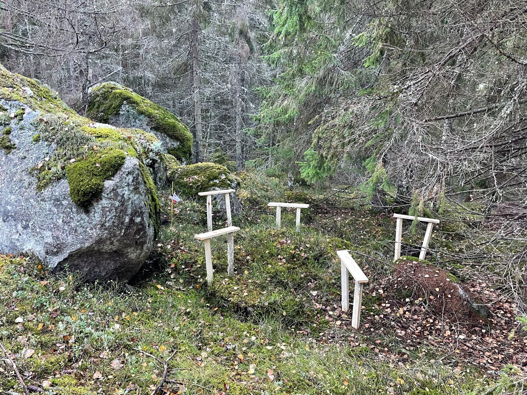 84 days for the Jukola relay - Porvoo Borgå Jukola 2023
